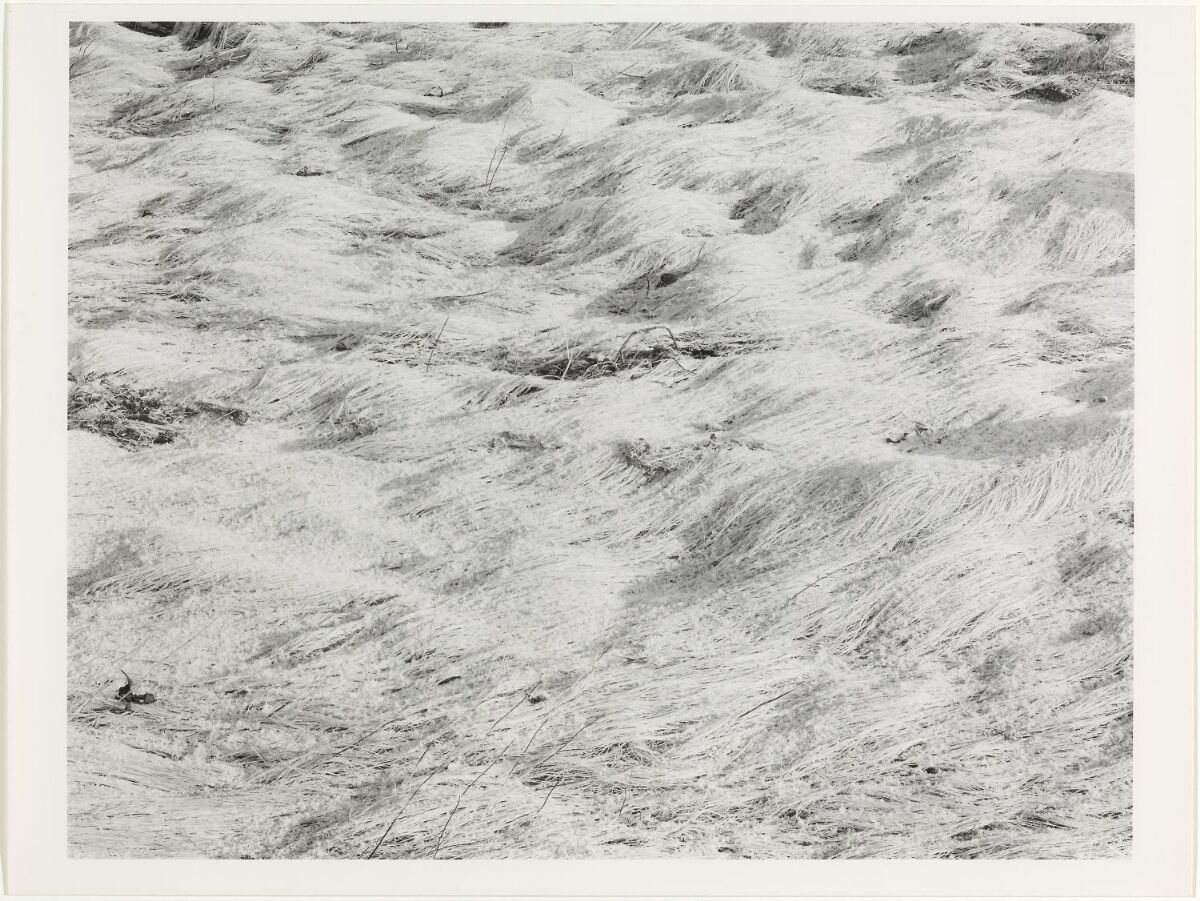 Per Berntsen, Frosted Grass, Norway – Nasjonalmuseet – Samlingen