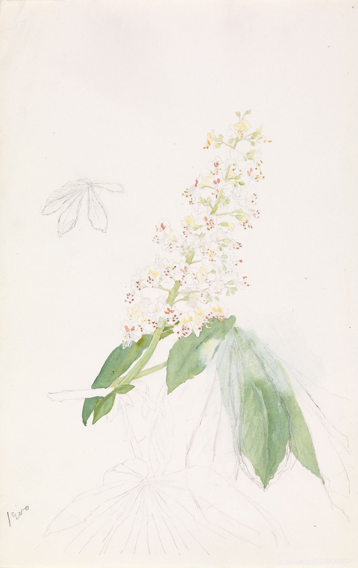 Annette Wiese Schirmer, Hestekastanje – Nasjonalmuseet – Samlingen