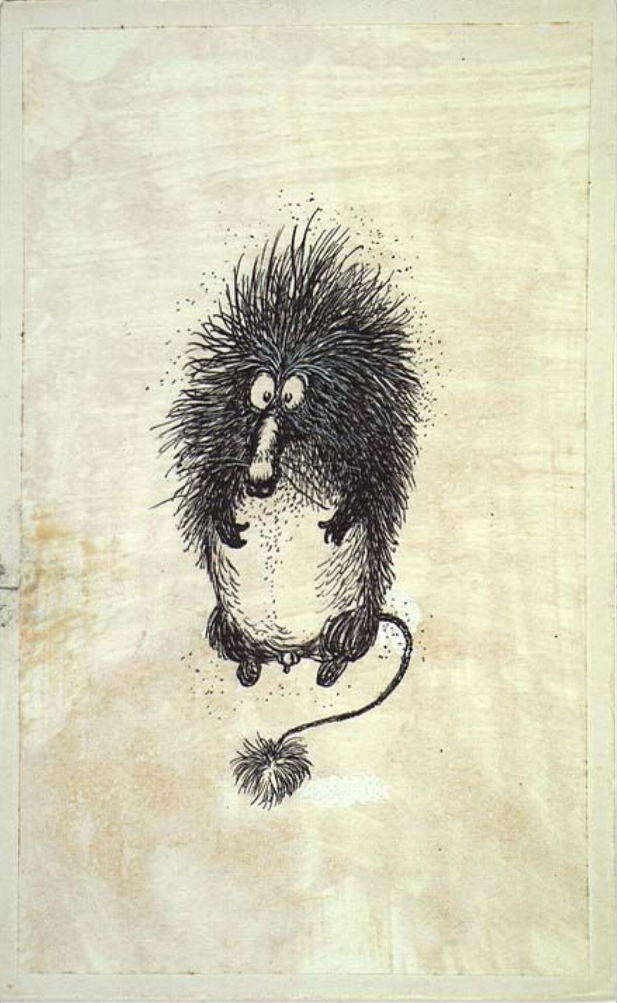 Kjell Aukrust, Vusvol. This is a Male with the Latin Name "Ruptimus ...