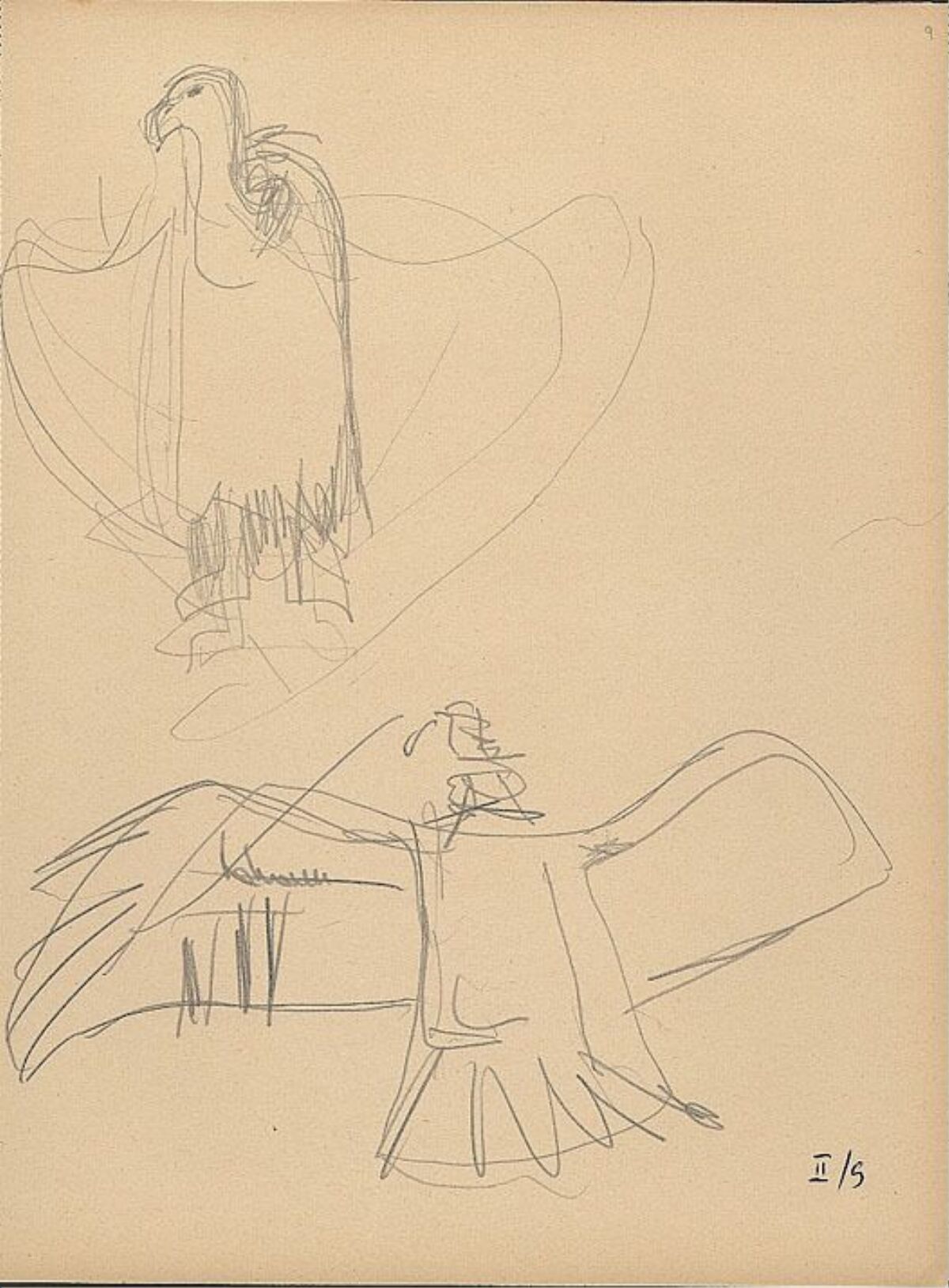 Rolf Nesch, To studier av fugl – Nasjonalmuseet – Samlingen