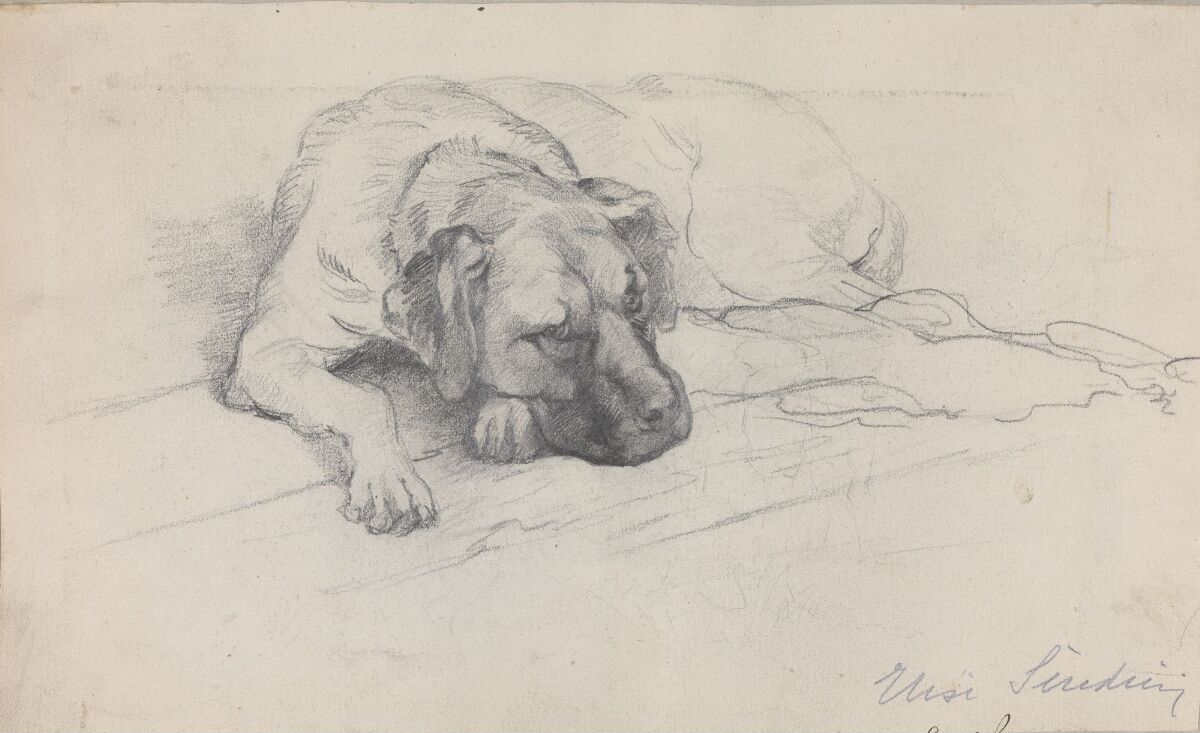 Elisabeth Sinding, Liggende hund – Nasjonalmuseet – Samlingen