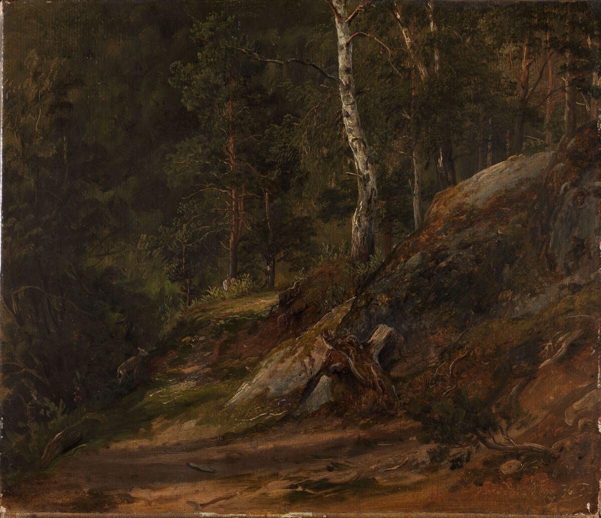 Thomas Fearnley, Forest Study from Romsdal – Nasjonalmuseet – Collection