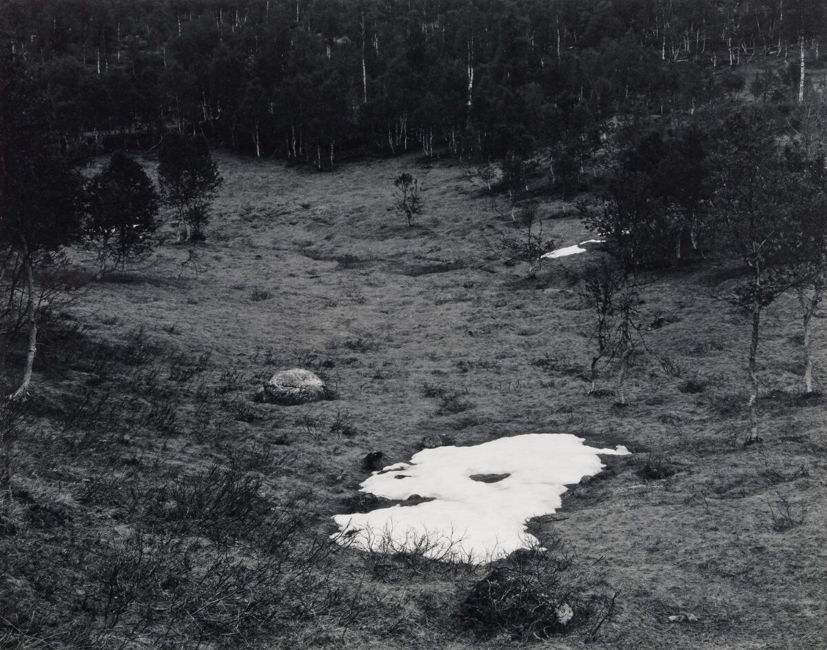 Per Berntsen, Sneflekk, Beiarn – Nasjonalmuseet – Samlingen