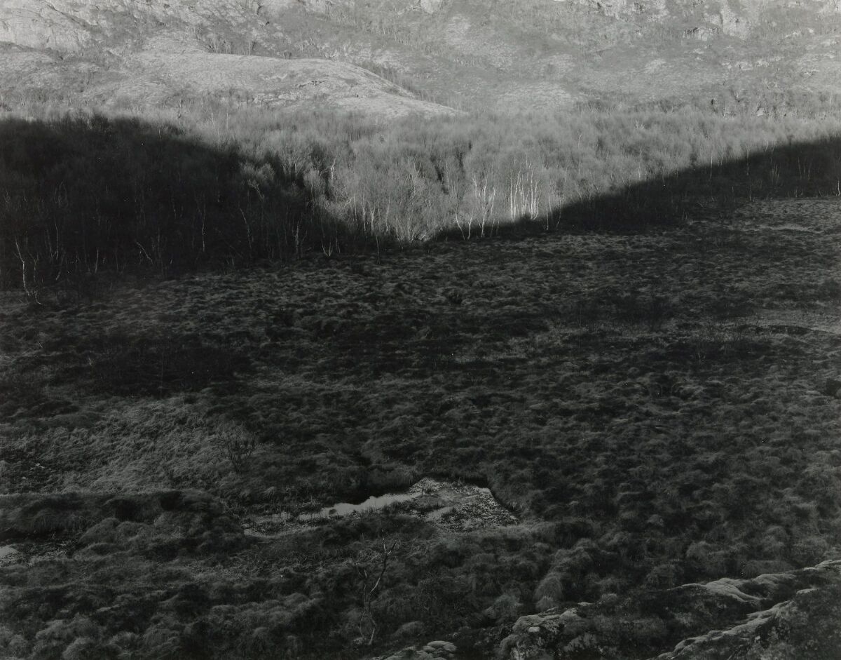 Per Berntsen, Skygge, Meløy – Nasjonalmuseet – Samlingen