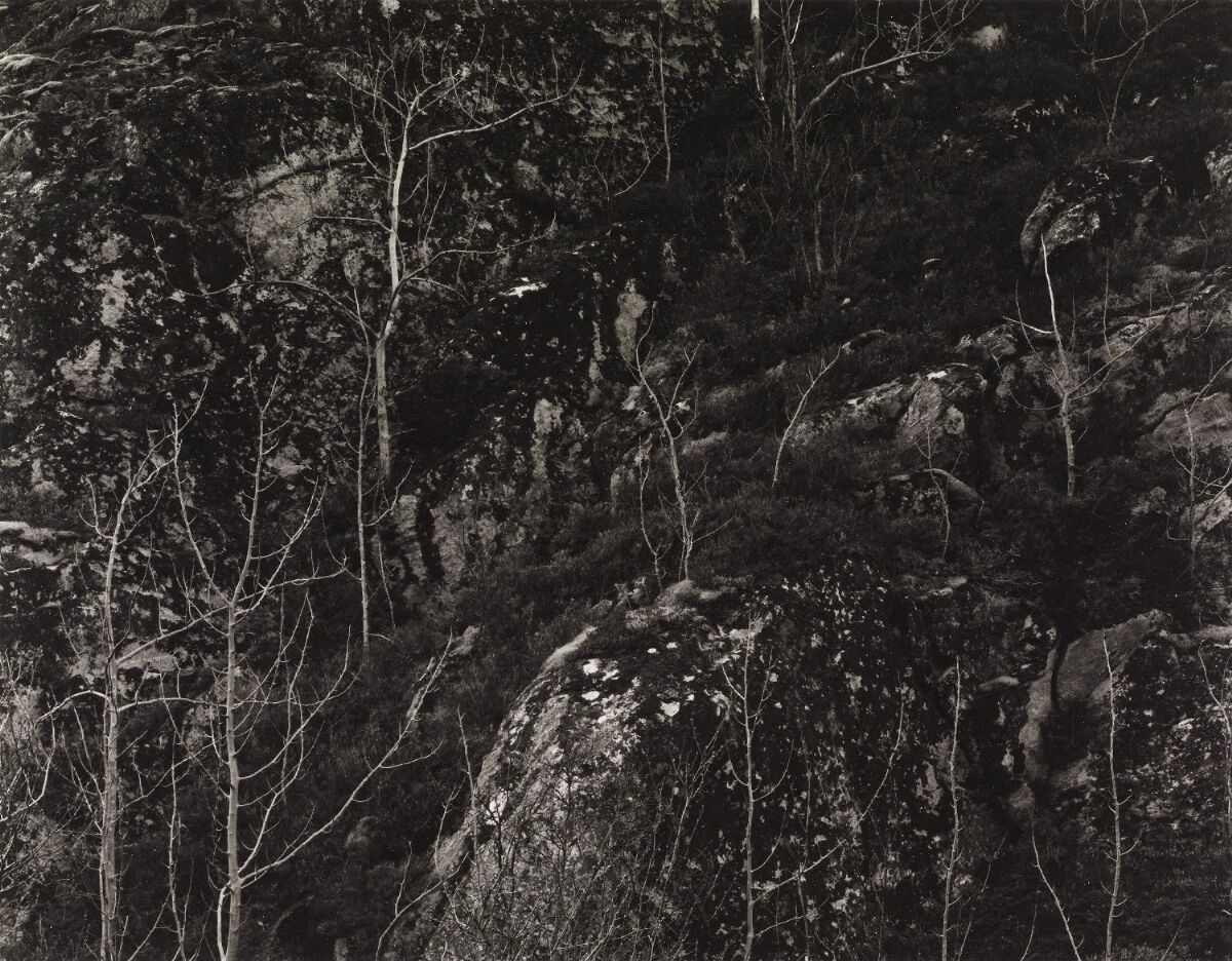 Per Berntsen, Fjellvegg, Meløy, 1978 – Nasjonalmuseet – Samlingen