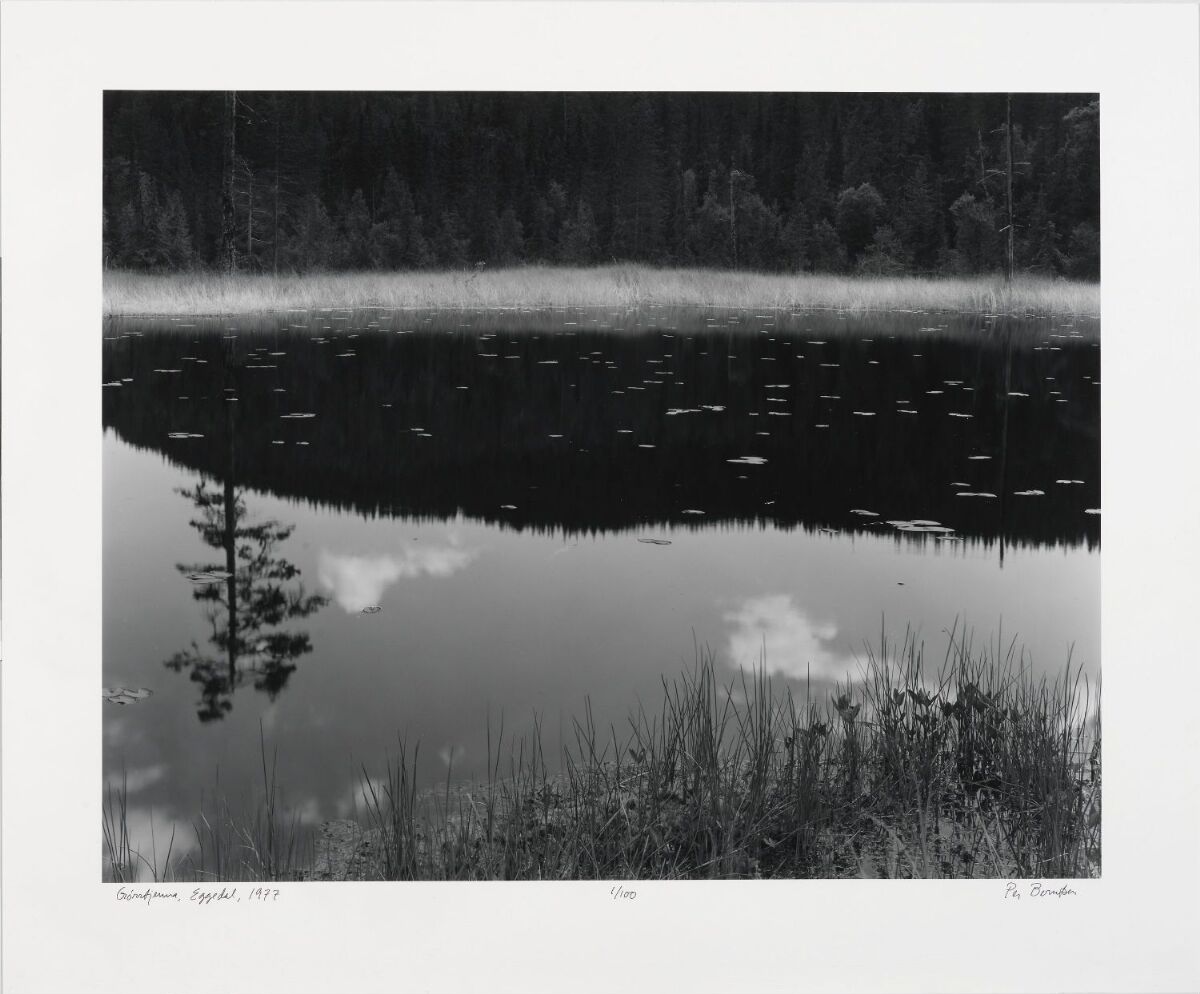 Per Berntsen, Refleksjon, Eggedal, 1977 – Nasjonalmuseet – Samlingen