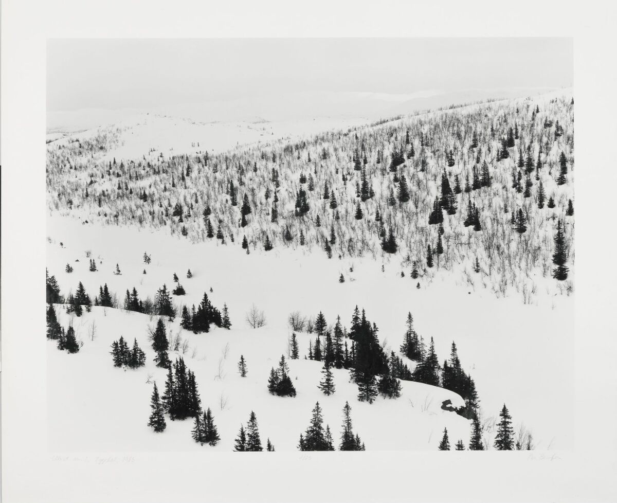 Per Berntsen, Utsikt nr. 1, Eggedal 1985 – Nasjonalmuseet – Collection