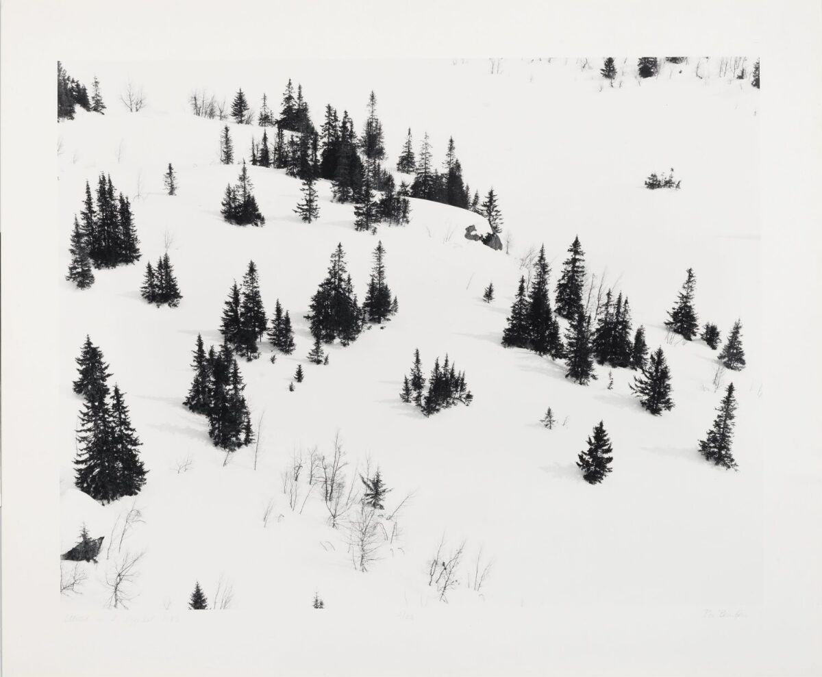 Per Berntsen, Utsikt nr. 2, Eggedal 1985 – Nasjonalmuseet – Collection