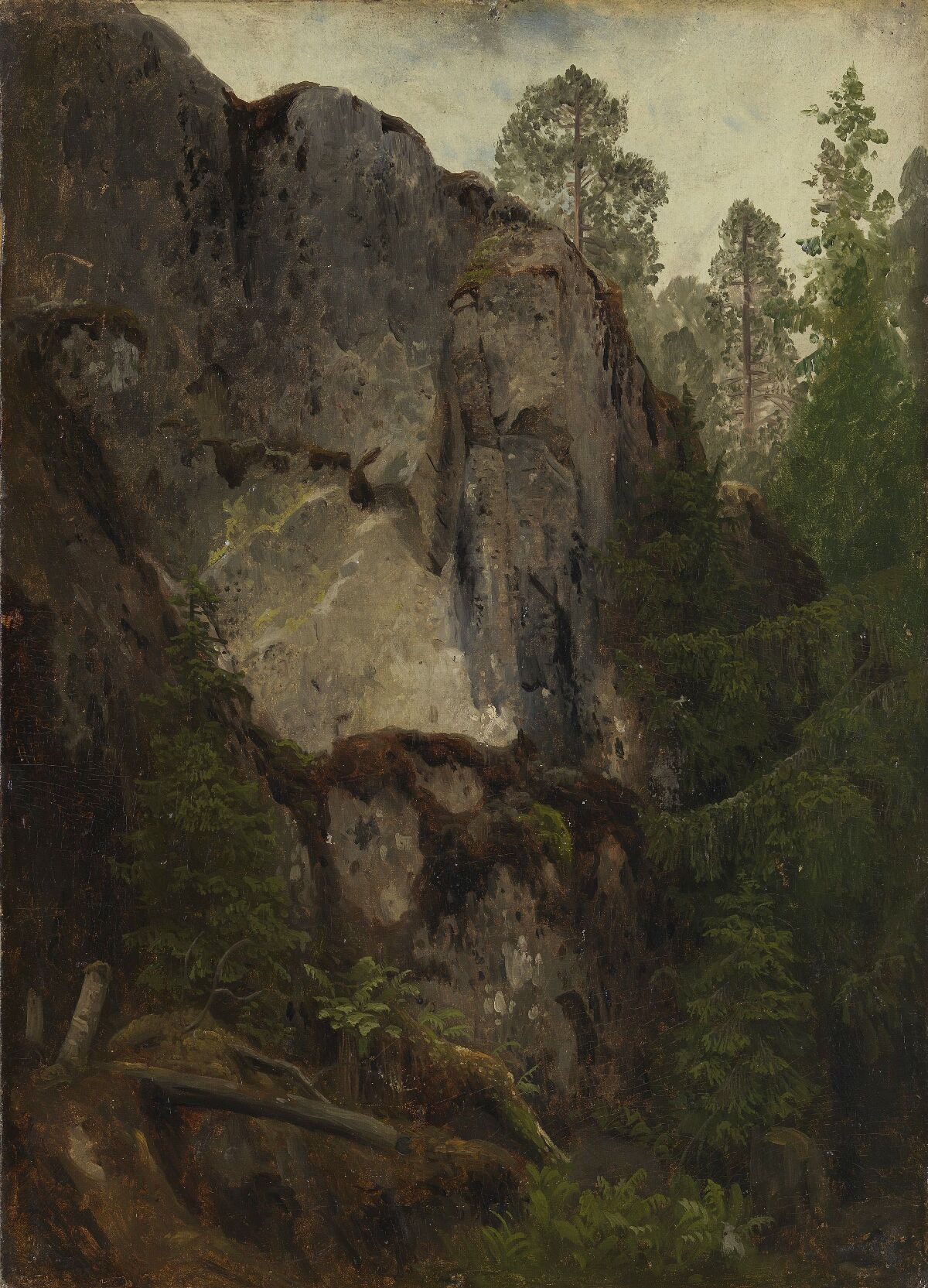 August Cappelen, Study of a Ravine – Nasjonalmuseet – Collection