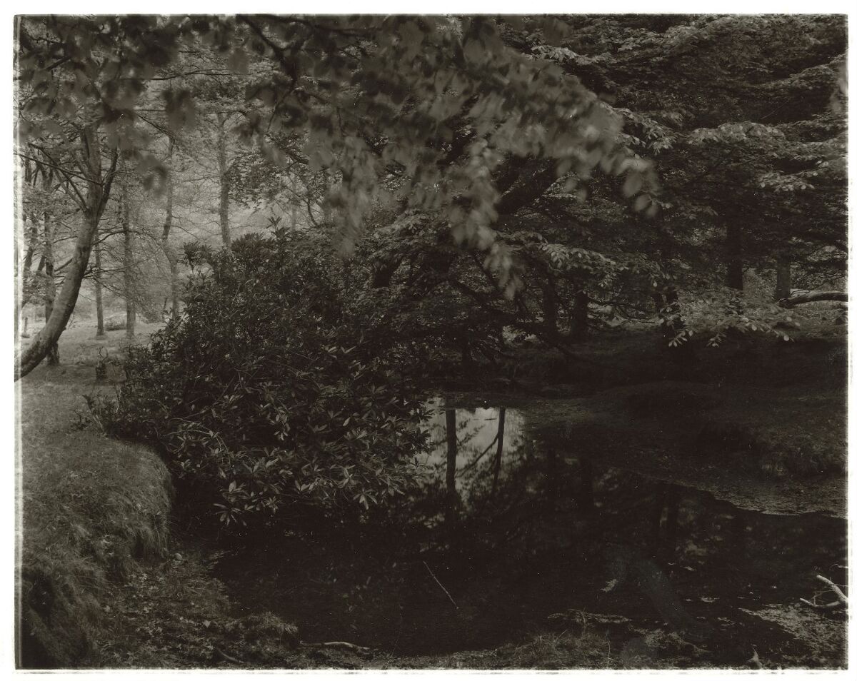 Per Berntsen, Skog, Glen Etive, Skottland – Nasjonalmuseet – Collection