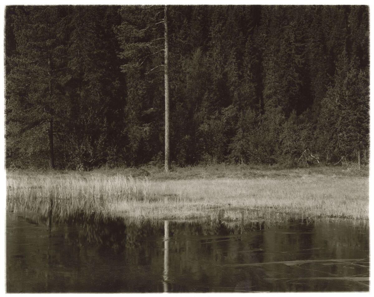 Per Berntsen, Furu, Eggedal – Nasjonalmuseet – Collection