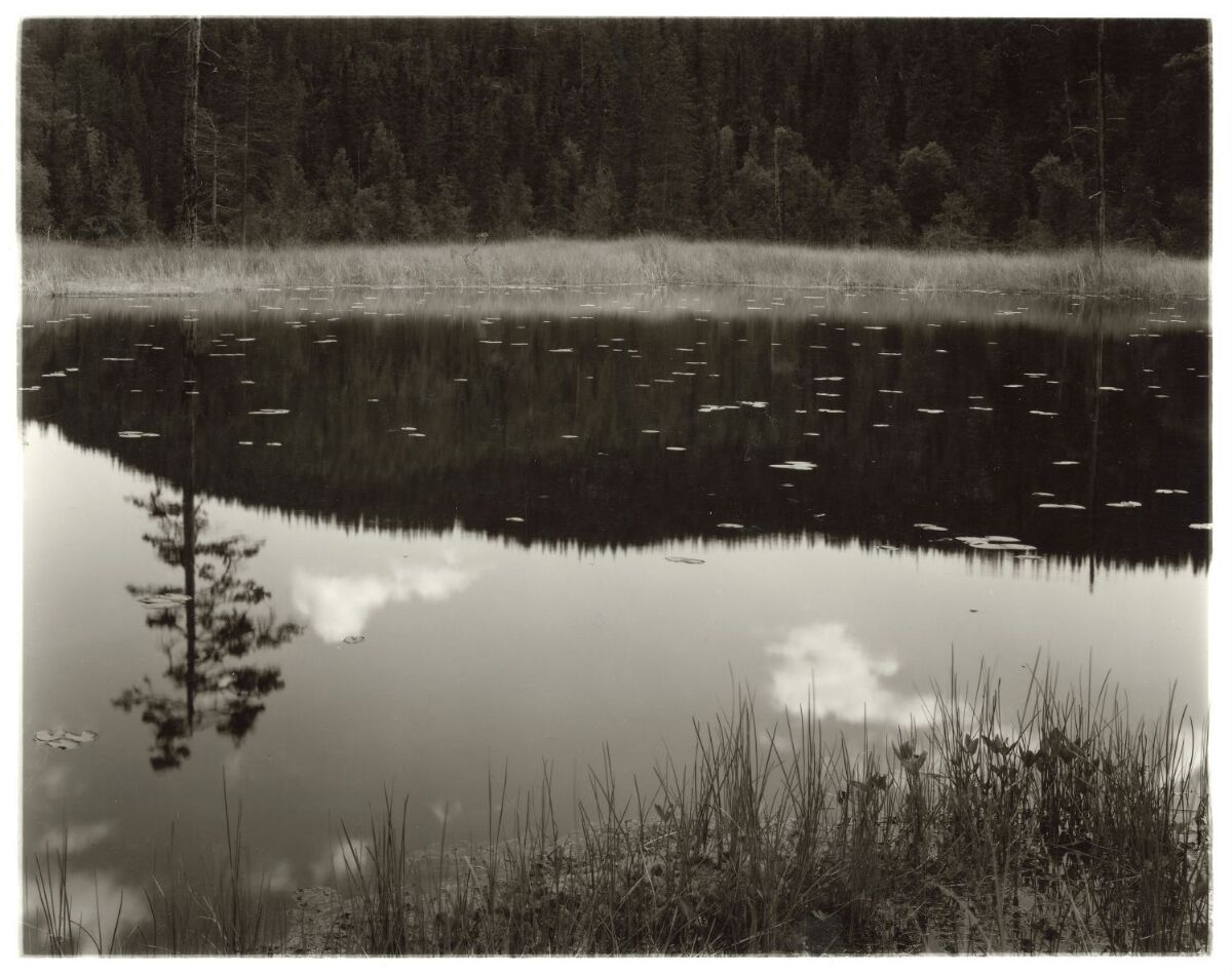 Per Berntsen, Refleksjon, Eggedal – Nasjonalmuseet – Collection