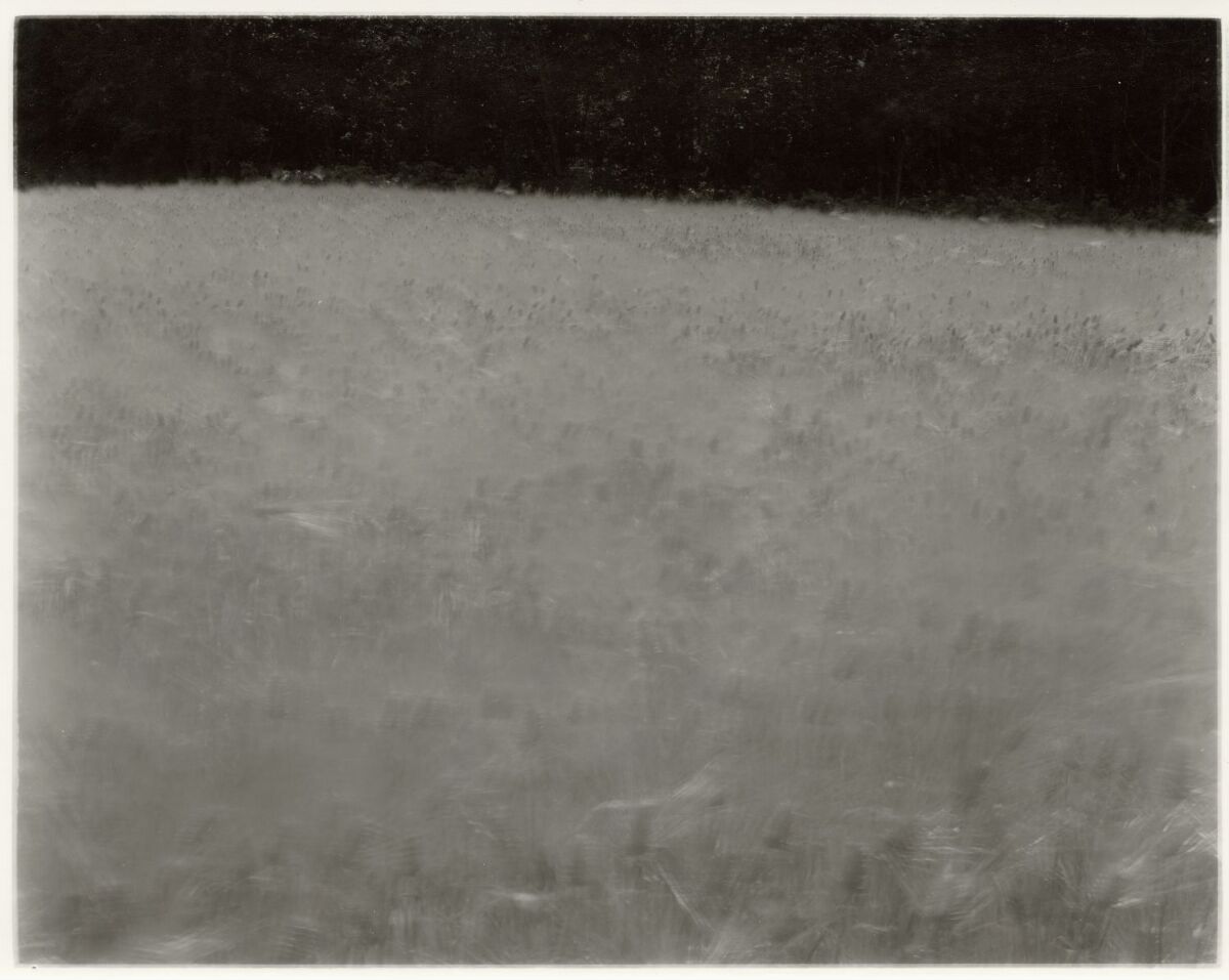 Per Berntsen, Kornåker, Gartland, 1977 – Nasjonalmuseet – Samlingen
