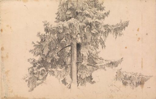 Hans Gude, Grantre – Nasjonalmuseet – Samlingen