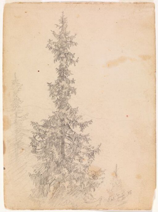 Hans Gude, Grantre, Nes – Nasjonalmuseet – Samlingen