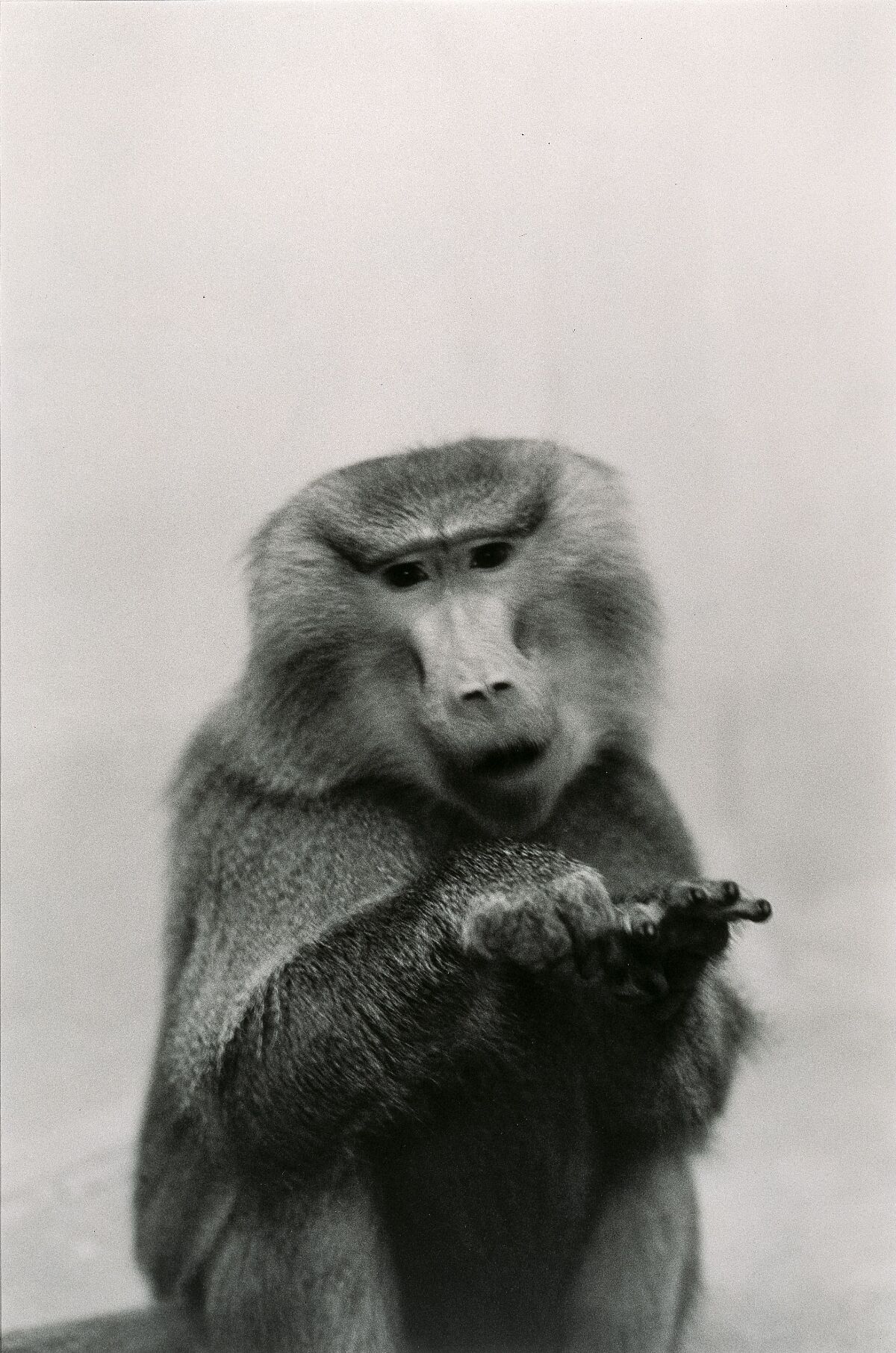 Per Maning, Maggie Left Hand - Right Hand? – Nasjonalmuseet – Collection