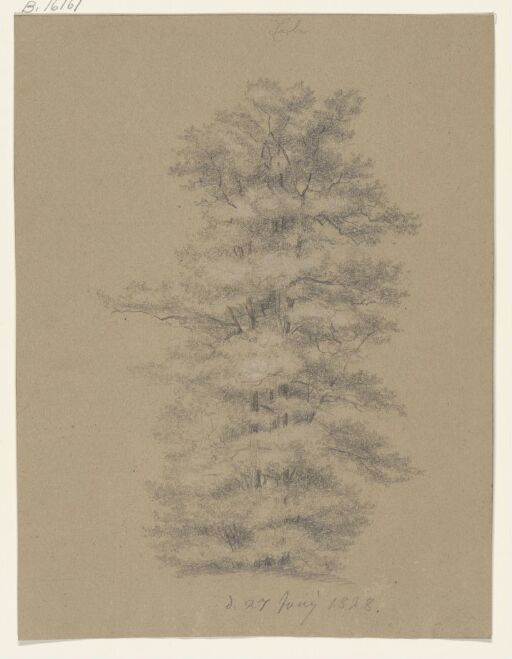 Johann Gustav Grunewald, Cluster of Trees – Nasjonalmuseet – Collection