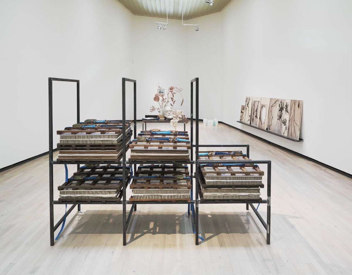 Jumana Manna, Flower Press – Nasjonalmuseet – Samlingen