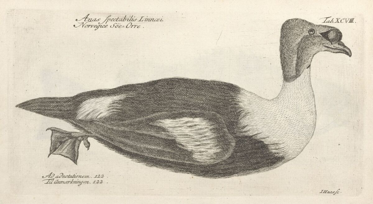 Jonas Haas, Missionskollegiet, Gerhard Giese Salikath, Sjøorre ...